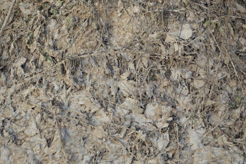 Patterns and Textures of Frozen Ground in Winter Stock Image - Image of ...