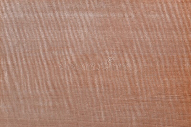 Patterns and Textures of Natural Veneer. Stock Image - Image of ...