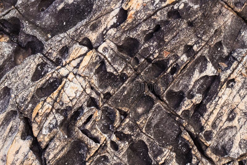 Patterns and Textures of the Old Volcanic Rock on the Beach. Stock ...