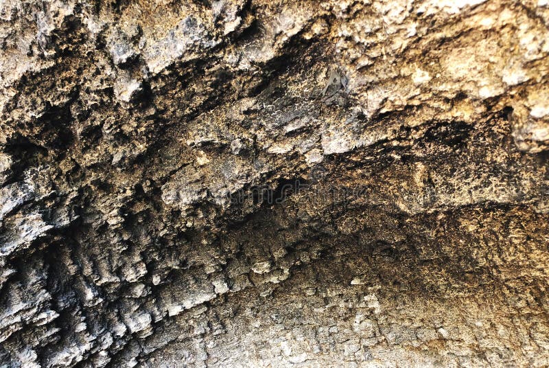 Patterns and Textures of Rocks in Nature. Stock Image - Image of luxury ...