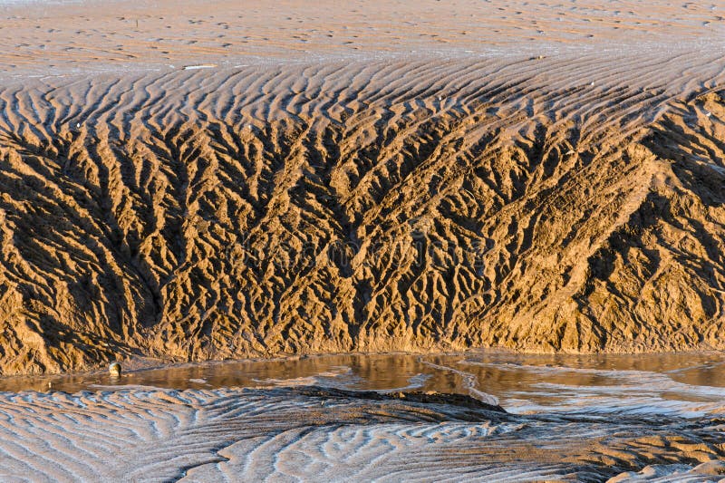 Tidal Patterns in Sand at Sunset Stock Photo - Image of groves, sunset ...