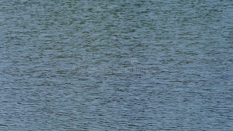 Wavy surface of lake stock footage. Video of pattern - 365237518