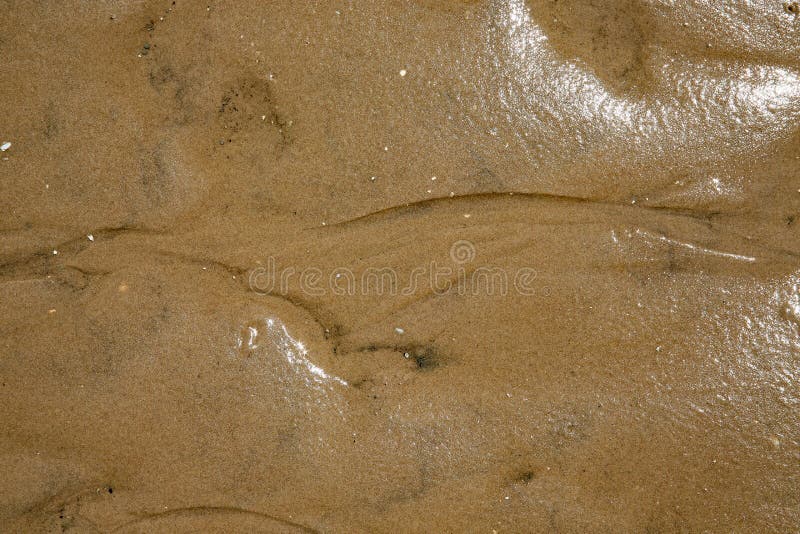 Patterns in wet beach sand stock photo. Image of footprint - 221126404
