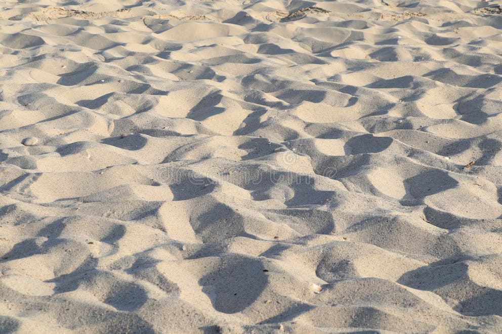 Patterns of Wind-Crafted Sand on Sunlit Beach Stock Photo - Image of ...