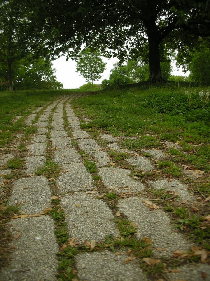 Patterson Park Picture. Image: 84942947