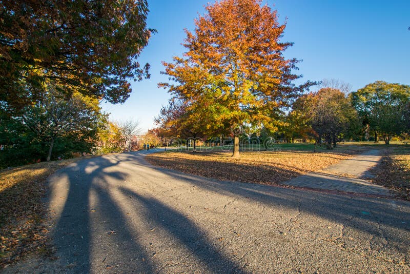 Patterson Park during Autumn in Baltimore, Maryland Stock Photo - Image ...
