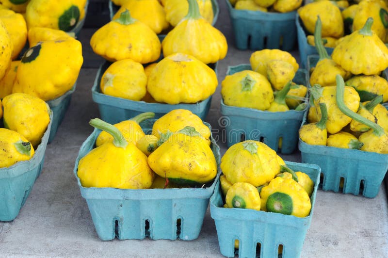 Patty pan stock photo. Image of green, patisson, pumpkin - 40810036
