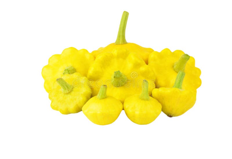 Pattypan White Squash stock image. Image of garden, ripe - 96833395