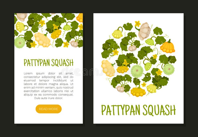 Pattypan Squash Design with Shallow Shape Vegetable with Scalloped ...