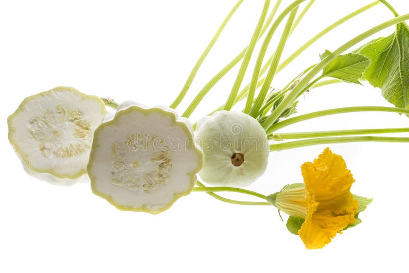 Pattypan, Witte Pompoen, Cucurbita-pepo Stock Foto - Image of voedsel ...