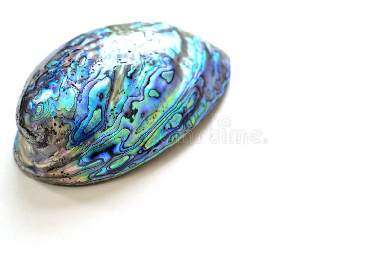 Paua shell background stock photo. Image of pearl, mother - 15170340