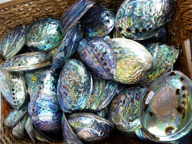 Paua Shell, Nya Zeeland arkivfoto. Bild av skal, försäljning - 46574480