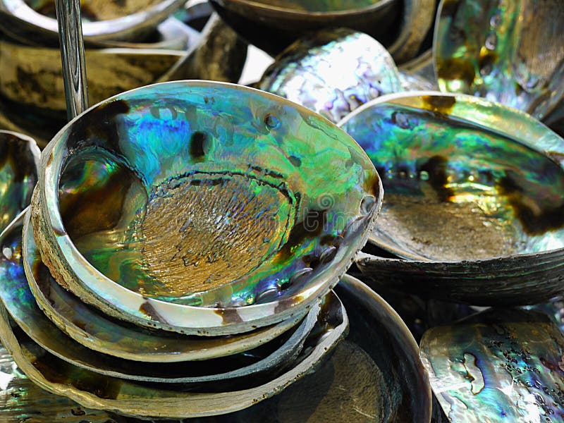 Abstract Paua Shells Background Bright Vivid Color Stock Photo - Image ...