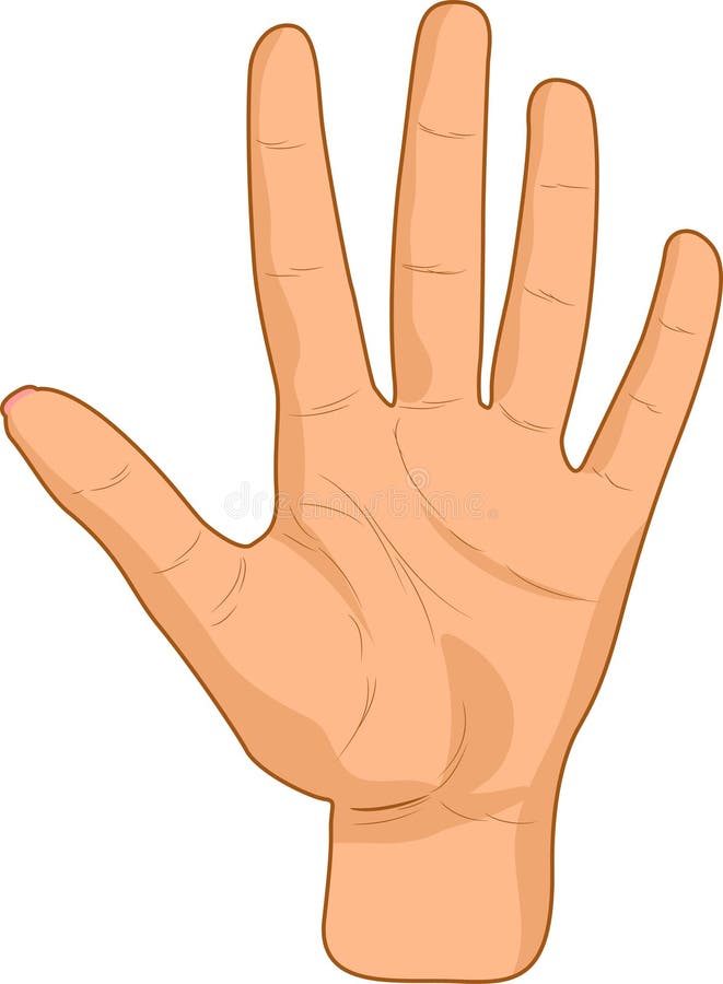 Paume De Main. Illustration Linéaire De Vecteur De La Paume D'une Main ...