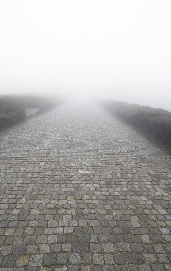 Pavage Route De Pierre Avec Brouillard Avant Vertical Photo stock ...