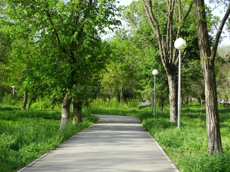 Bike path in the Park stock image. Image of road, autumn - 108618391