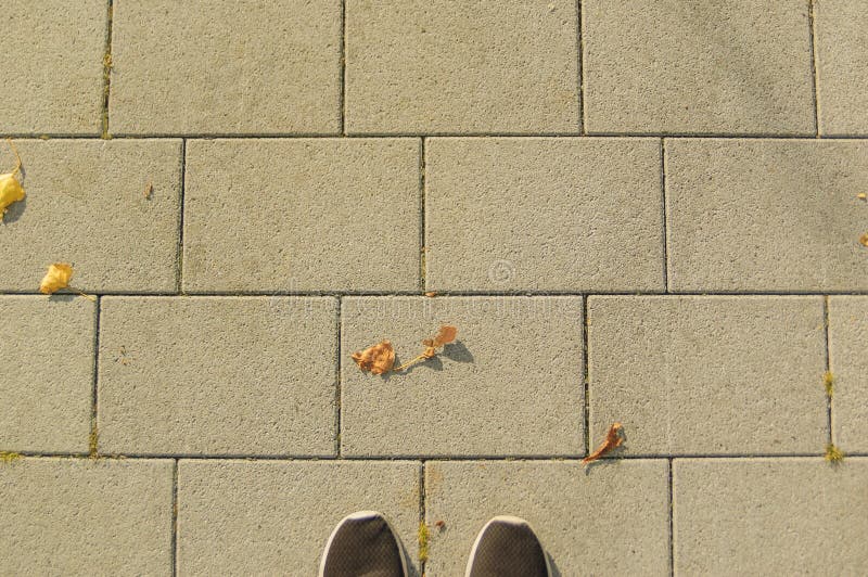 Paved footpath with shoes stock photo. Image of concrete - 231707022
