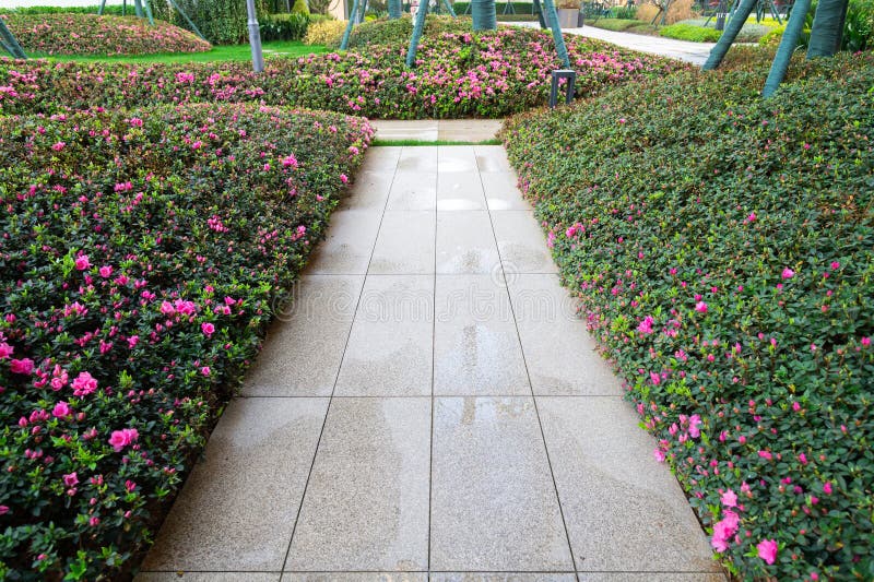 Garden Path after Spring Rain Stock Photo - Image of colorful, formal ...