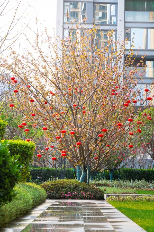 Garden Path after Spring Rain Stock Photo - Image of pink, perenials ...
