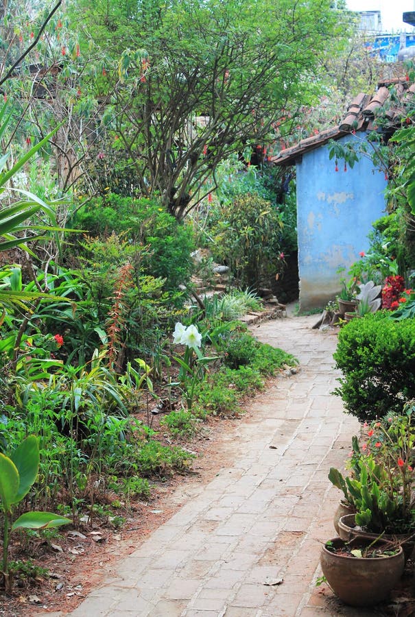 Garden Path in Rural Mexico Stock Image - Image of peaceful, pathway ...