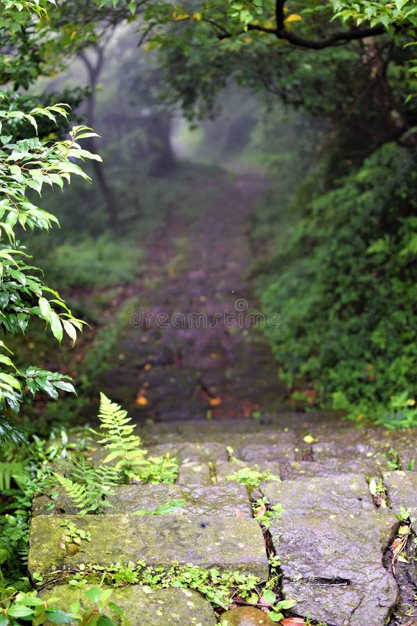 A Relaxing Garden with a Bench and a Native Gazebo Stock Photo - Image ...