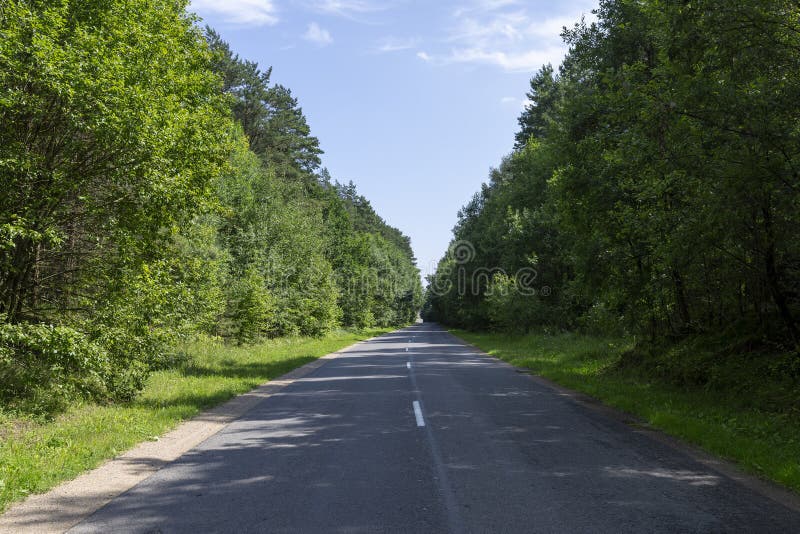 Paved Old Road in the Forest in Summer Stock Image - Image of natural ...