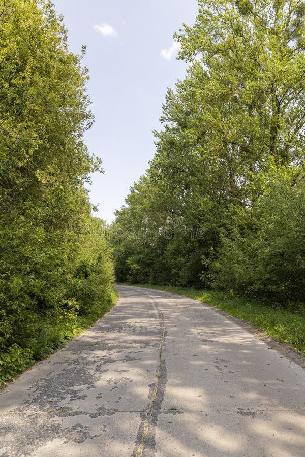 Paved Old Road in the Forest in Summer Stock Image - Image of clouds ...