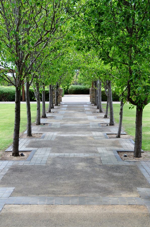 Paved path in a garden stock image. Image of autumn, garden - 23569287