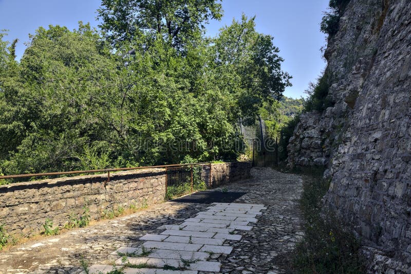 Paved Path on a Balcony Next To a Grove Stock Photo - Image of bush ...