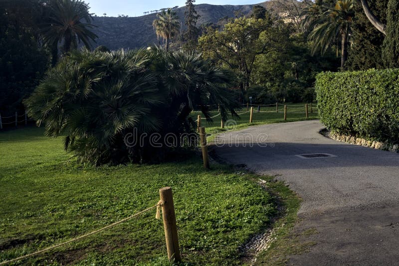 Paved Path Bordered by Trees and Hedges at Sunset Stock Image - Image ...