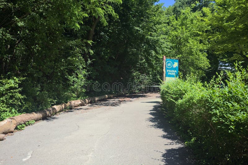 Paved Path Bordered by Trees Editorial Image - Image of ornamental ...