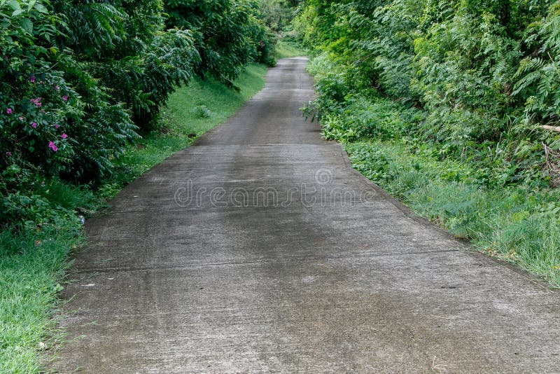 Paved path forward stock photo. Image of environment - 97228654