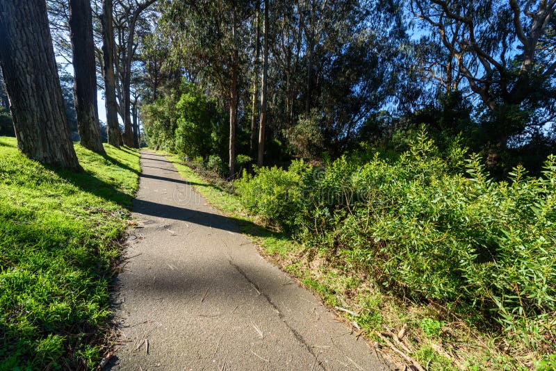 41,470 Trees Gate Stock Photos - Free & Royalty-Free Stock Photos from ...