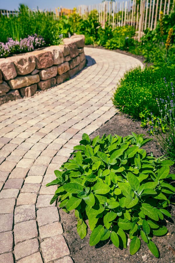 Paved Path in Herb Garden and Flower Garden in Patio and Backyard Stock ...