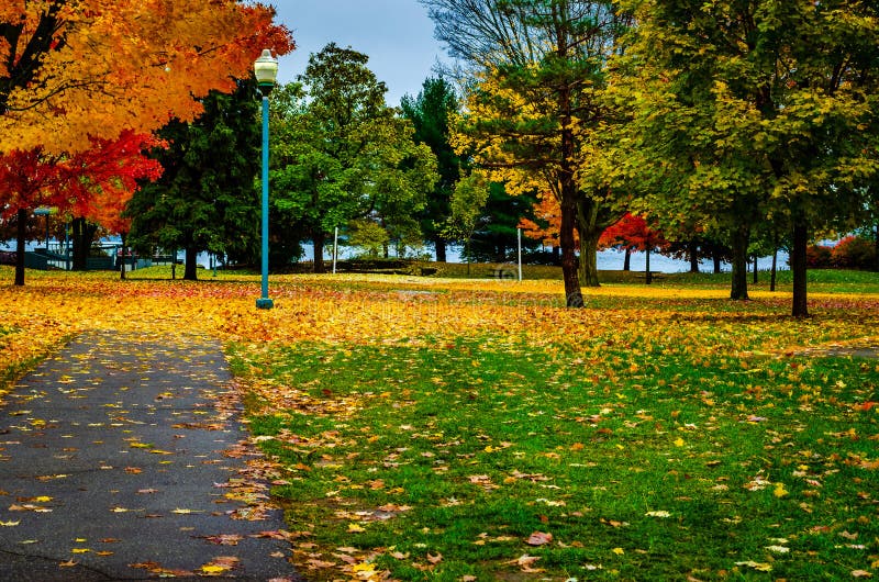 Paved Path Leading into a Leaf Covered Waterfront Park Stock Photo ...