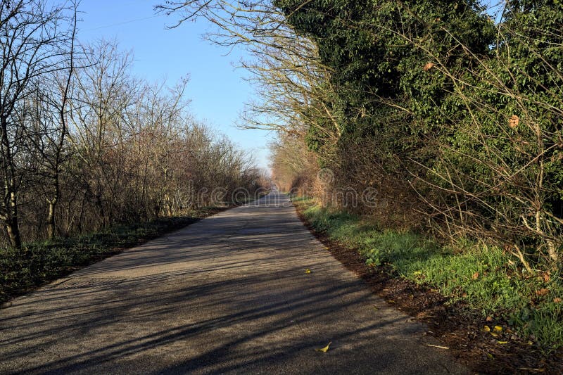 Paved path stock photo. Image of calm, country, nature - 304046720