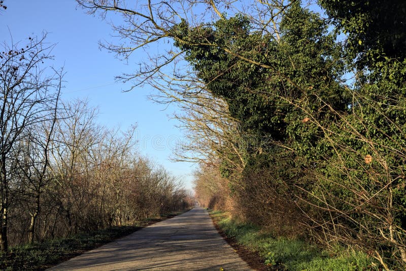 Paved path stock image. Image of outdoors, autumn, environment - 304046753