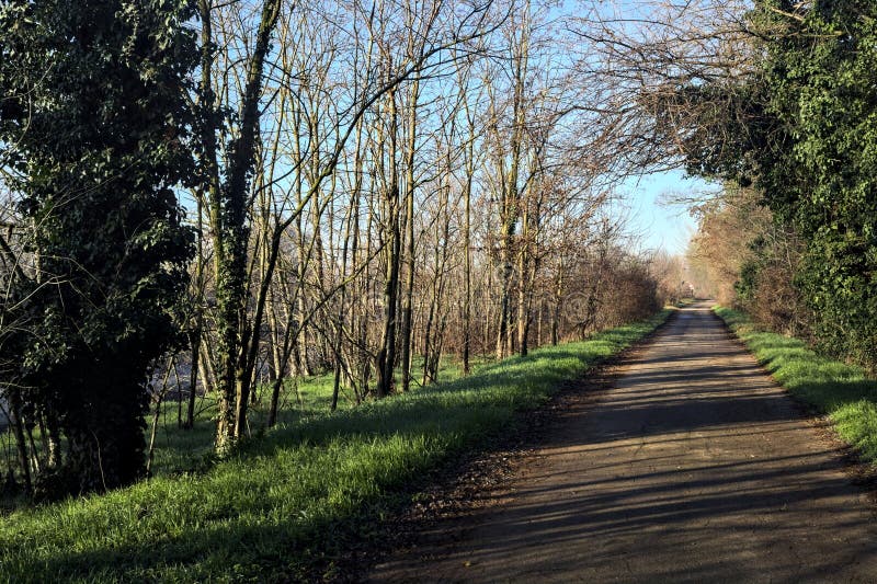 Paved Path Bordered by a Field and a Stream of Water with a Pylon Afar ...
