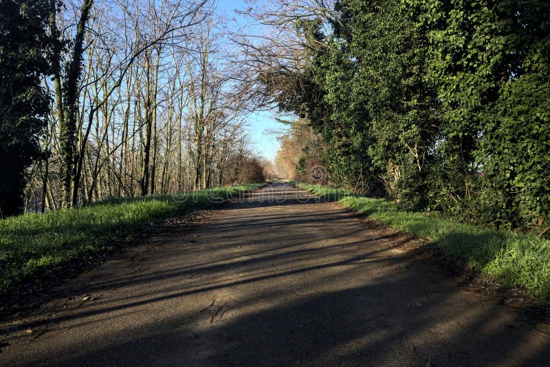 Paved Path Bordered by a Field and a Stream of Water with a Pylon Afar ...