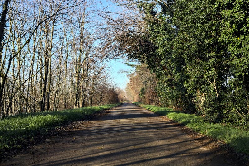 Paved Path Bordered by a Field and a Stream of Water with a Pylon Afar ...