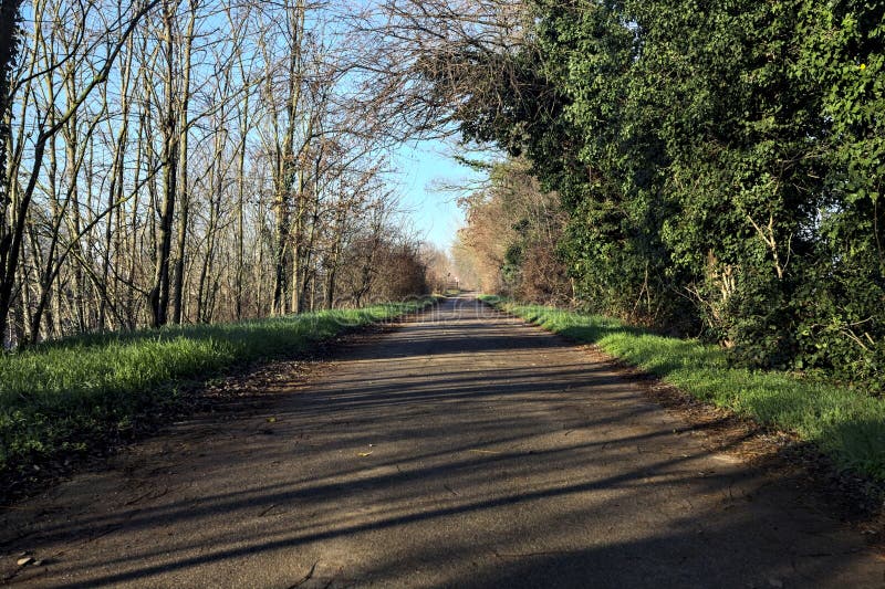 Paved Path Bordered by a Field and a Stream of Water with a Pylon Afar ...