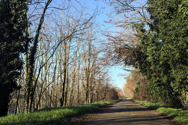 Paved Path Bordered by a Field and a Stream of Water with a Pylon Afar ...