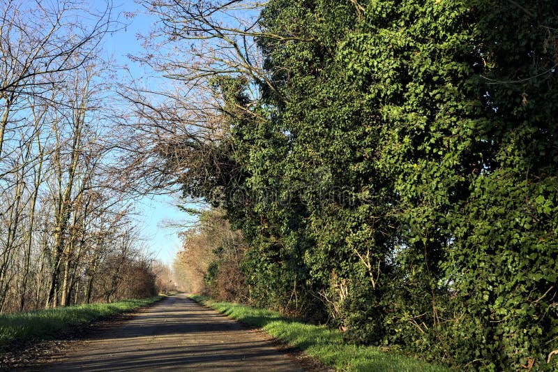 Paved Path Bordered by a Field and a Stream of Water with a Pylon Afar ...