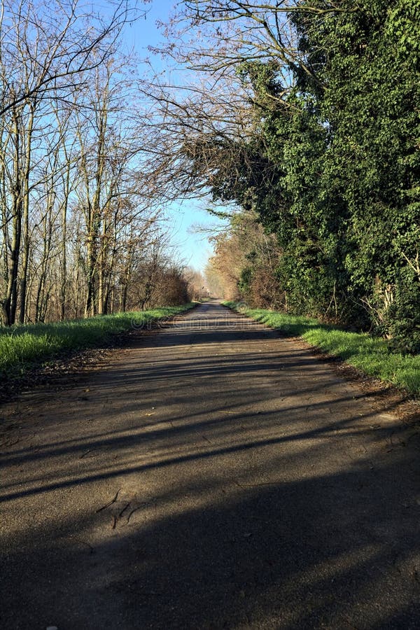 Paved Path Bordered by a Field and a Stream of Water with a Pylon Afar ...