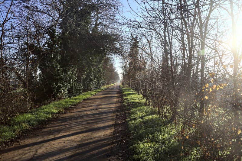 Paved Path Bordered by a Field and a Stream of Water with a Pylon Afar ...