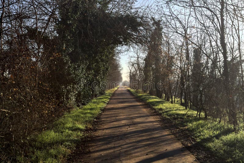 Paved Path Bordered by a Field and a Stream of Water with a Pylon Afar ...
