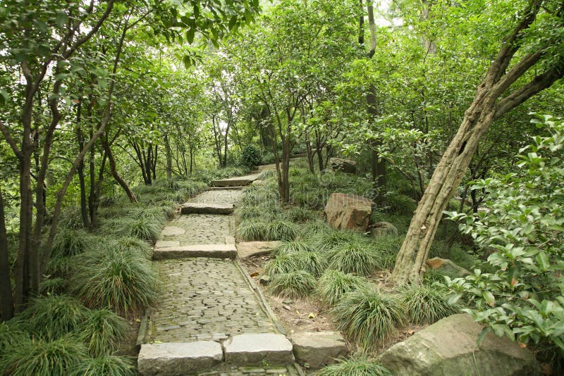 Paved Path in Greens,vetical Stock Photo - Image of differ, diverity ...