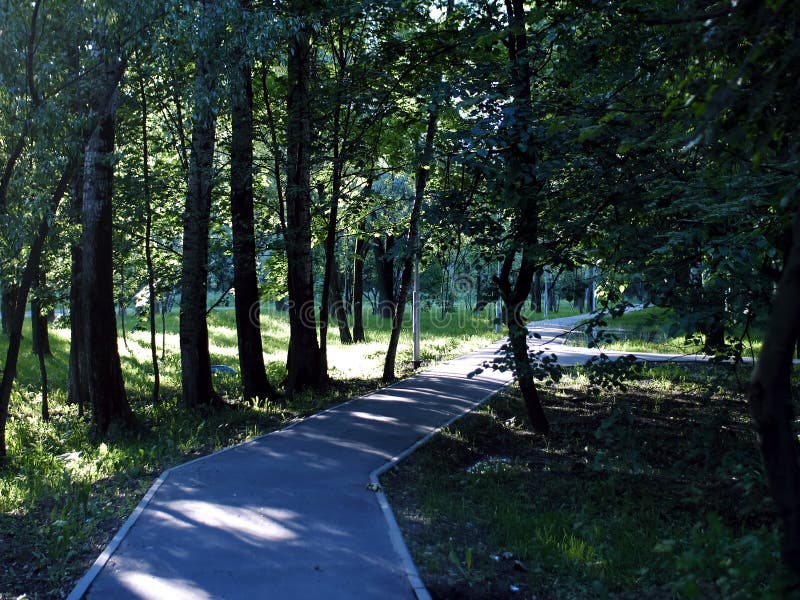 Paved Path in the Park on a Clear Day Stock Photo - Image of meadow ...