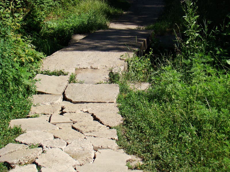 Paved path in a park stock photo. Image of green, nature - 23163144