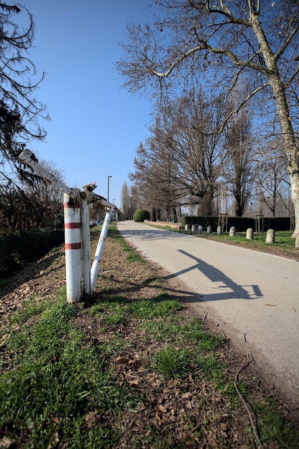 Paved path in a park stock photo. Image of adventure - 363996962
